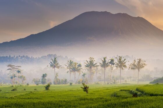 5 Best Things To Do In Sidemen, Bali • Villa Uma Dewi Sri
